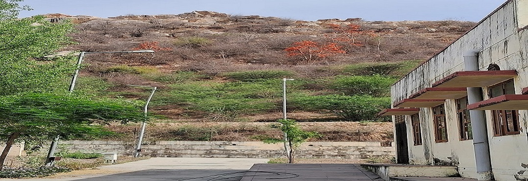 Government Polytechnic College, Tonk